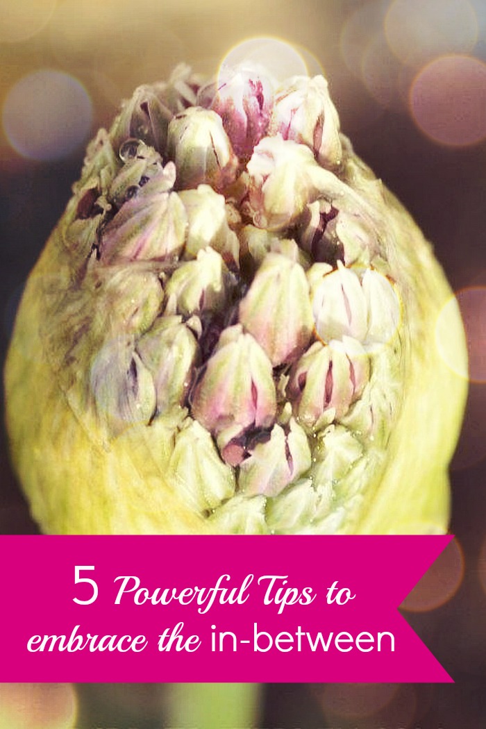 5 Powerful Tips to embrace the in-between 5 Powerful Tips to embrace the in-between